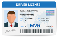 MVR Check: Why is it important? - MVRcheck.com