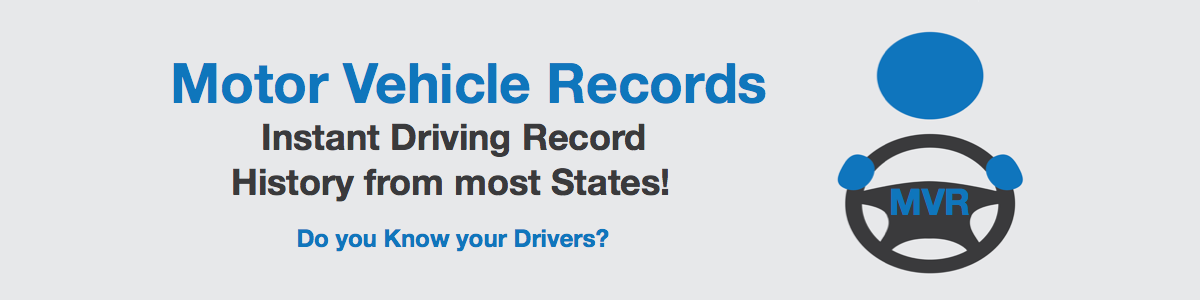 MVRcheck.com - Instant Driving Records